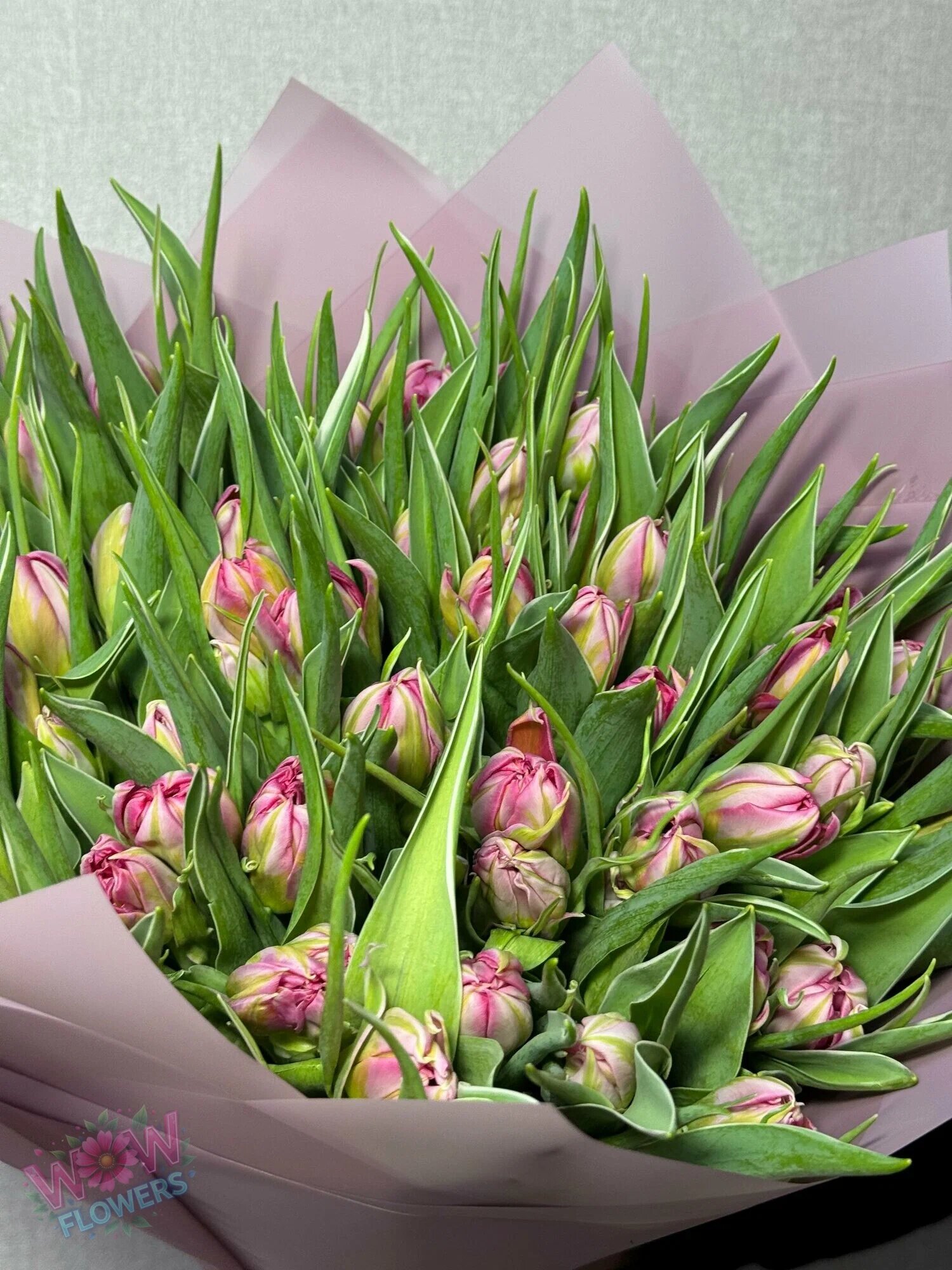 Букет из живых цветов WOW цветочки | Тюльпаны 49 штук, монобукет