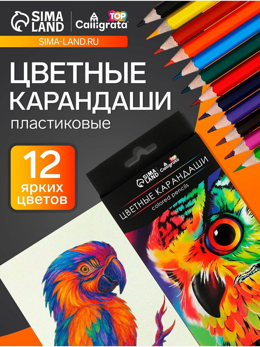 Карандаши цветные, 12 цветов, шестигранные, пластиковые, тип: для детского творчества