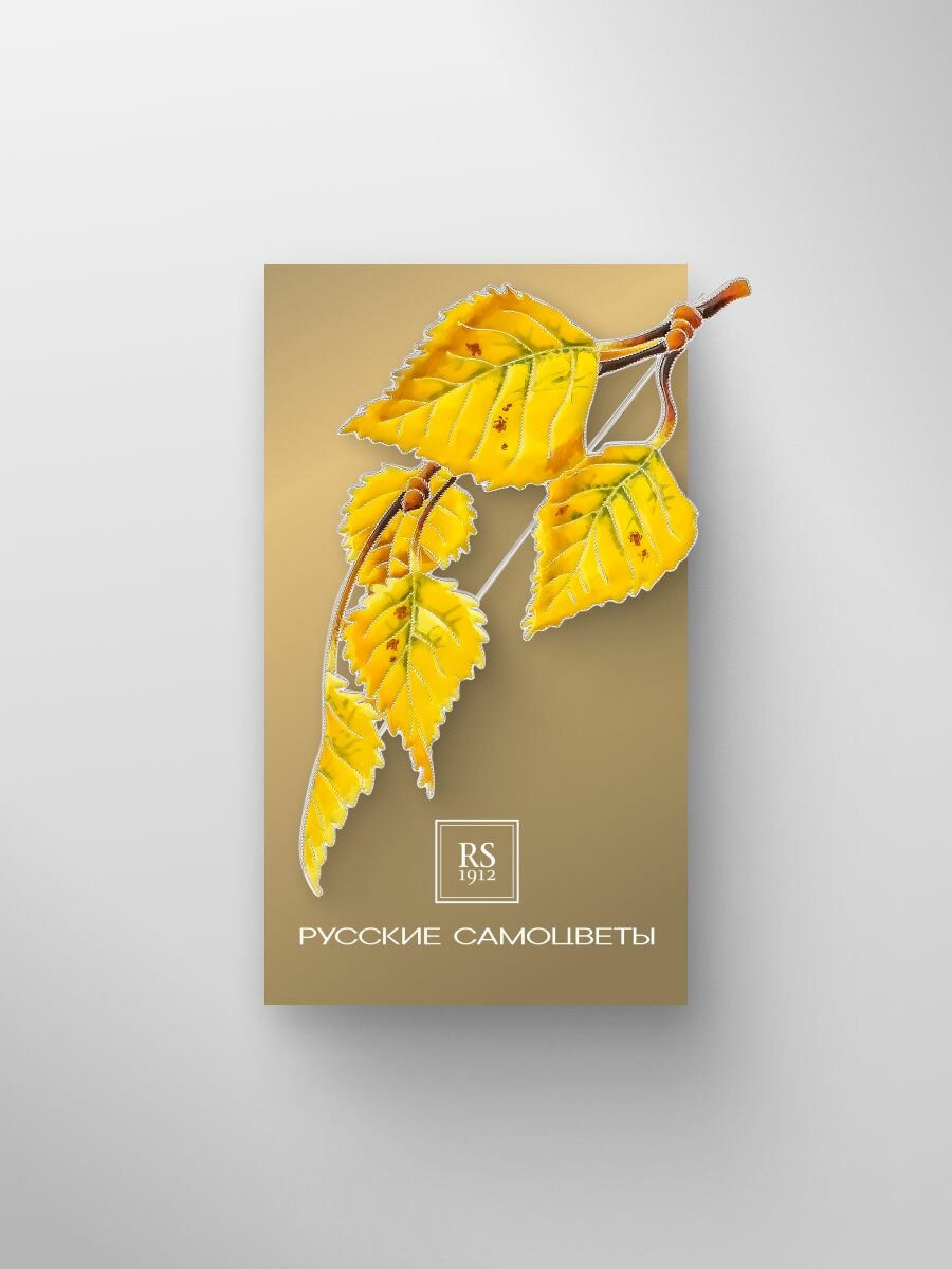 Брошь, серебро, 925 проба