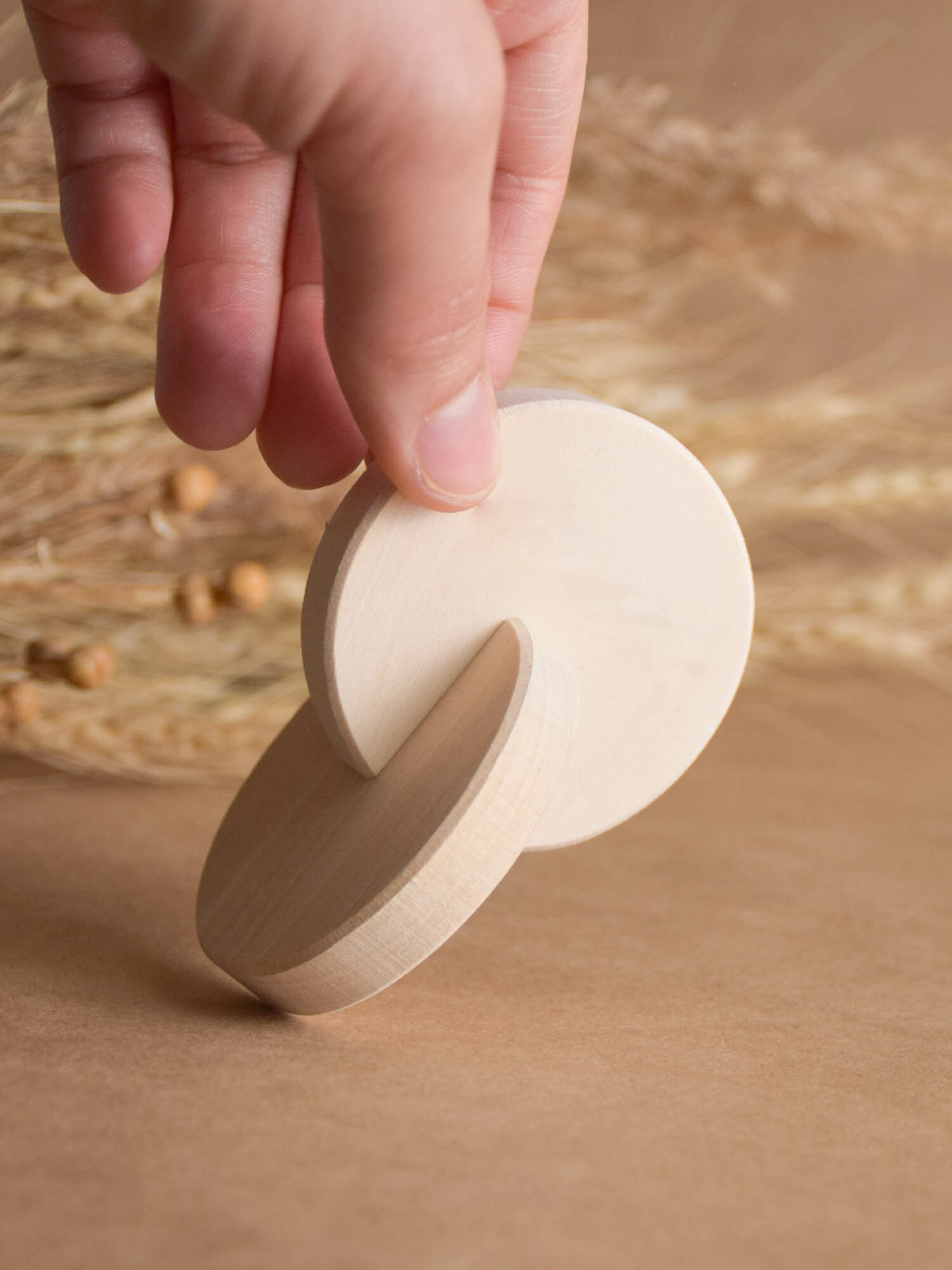 Соединенные Диски Монтессори Тренажер Игрушка Новорожденных