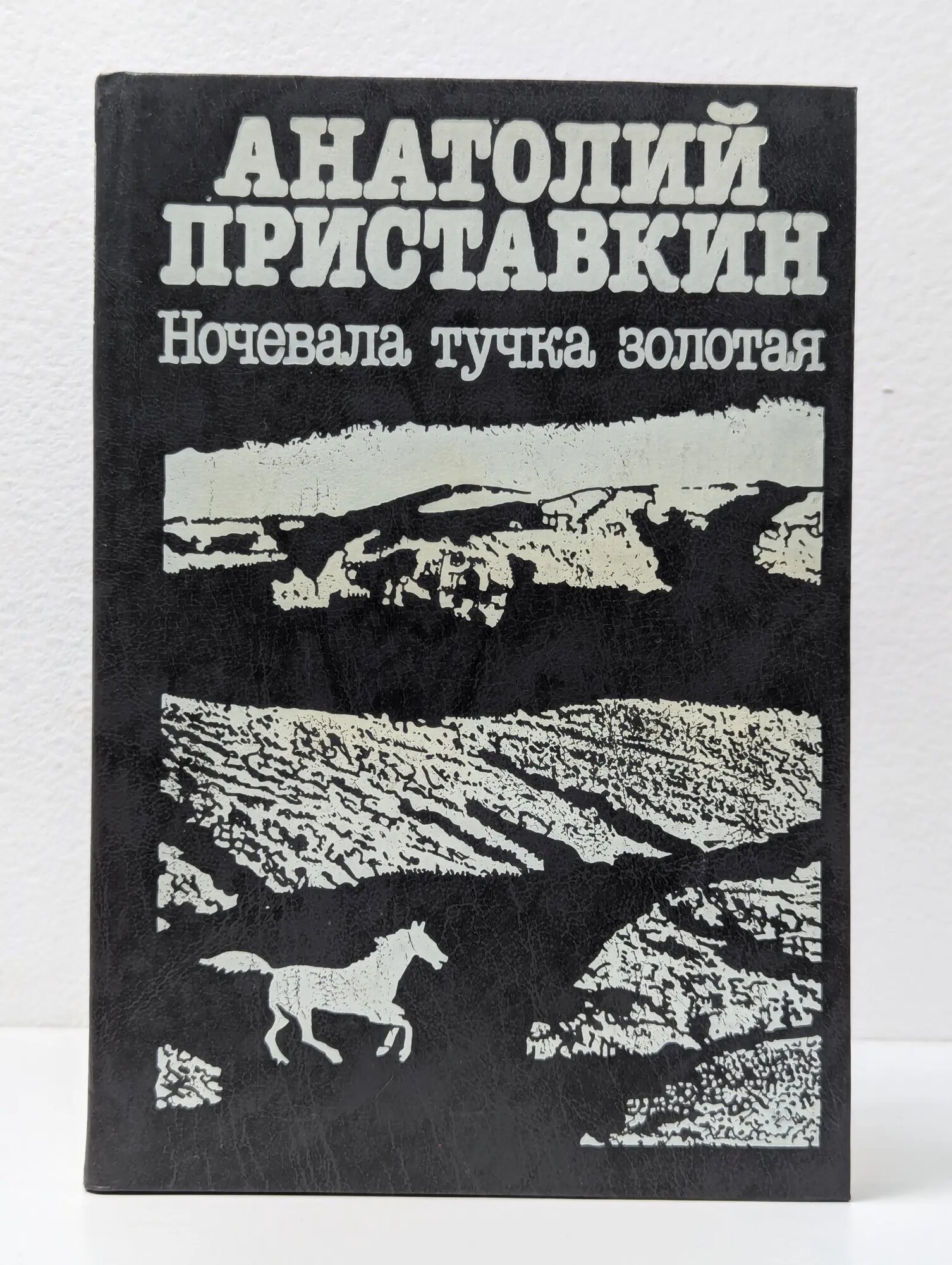 Популярная библиотека. Ночевала тучка золотая Приставкин Анатолий Игнатьевич 1989
