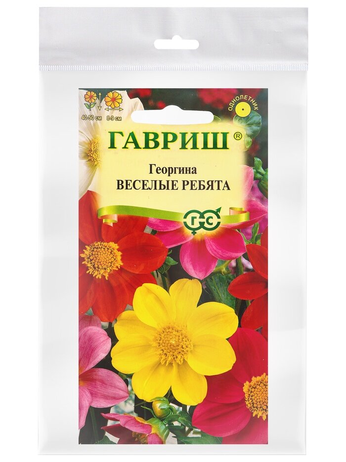 Набор семян Георгина воротничковая «Тип Топ», 0.3 г