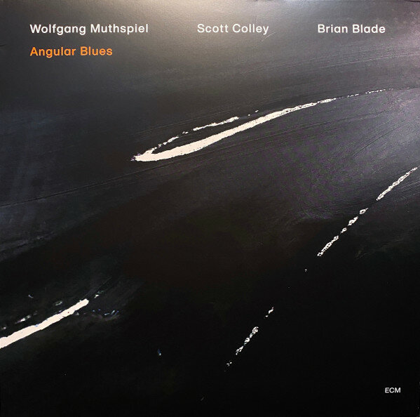 WOLFGANG MUTHSPIEL / SCOTT COLLEY / BRIAN BLADE Angular Blues (LP)