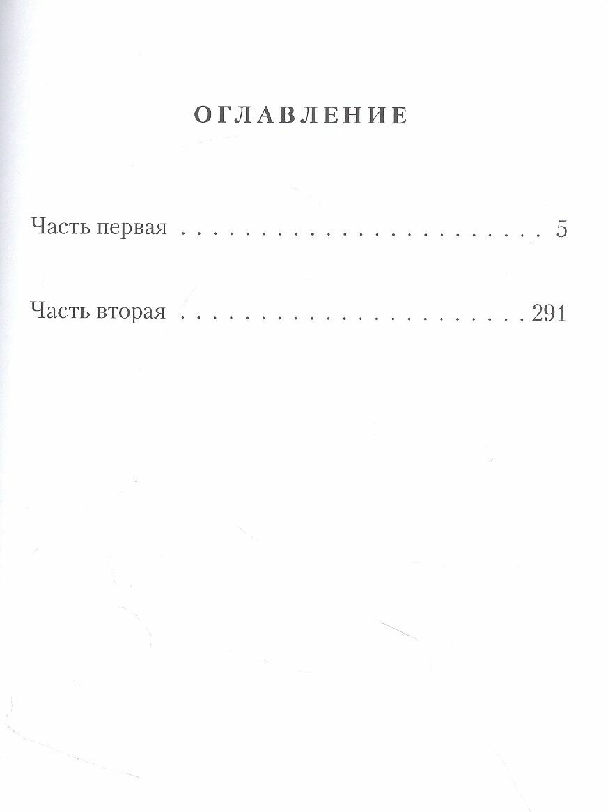 Купол Калуга — фото 1