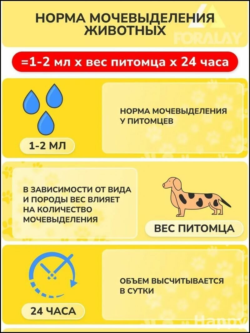 Подгузники для животных — фото 1