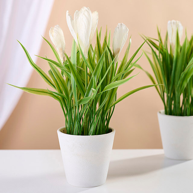 Искусственный цветок в горшке Bianche - Крокус 21 см, Koopman, 317005100-3