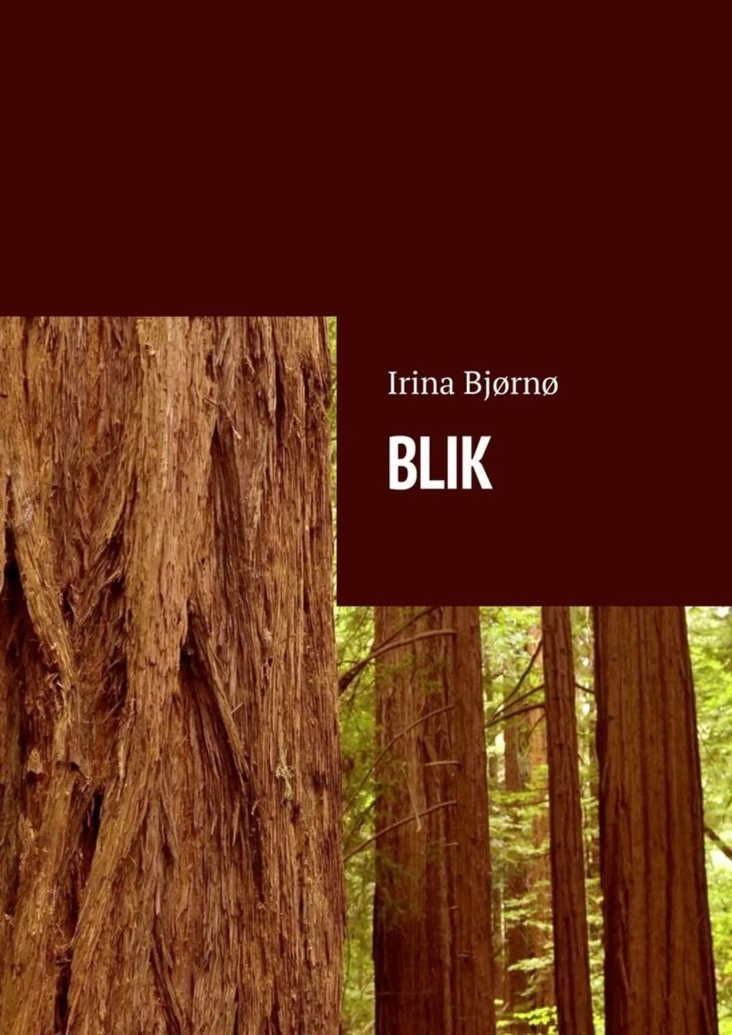Blik [Цифровая книга]