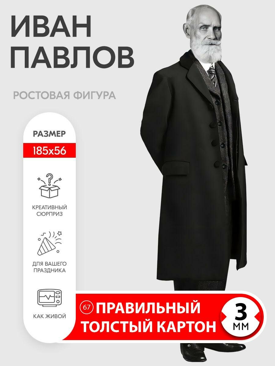Аксессуар для фотосессий, самое это, Иван Петрович Павлов ростовая фигура