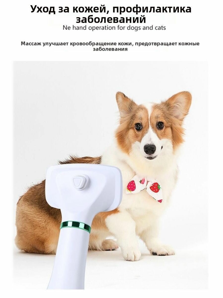 2-в-1 фен-расческа для кошек и собак, горячая воздушная расческа для груминга, 3 режима , длина шнура 2 м