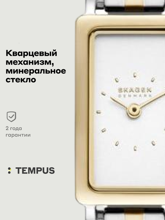 Наручные часы SKAGEN
