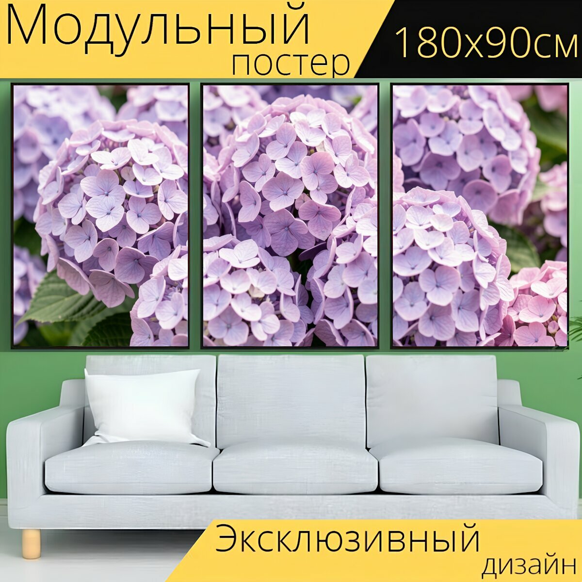 Модульный постер "Лиловые соцветия гортензии. Пышные шаровидные цветы в нежных сиреневых и розоватых оттенках с зелёной листвой." 180 x 90 см. для интерьера на стену в тубусе