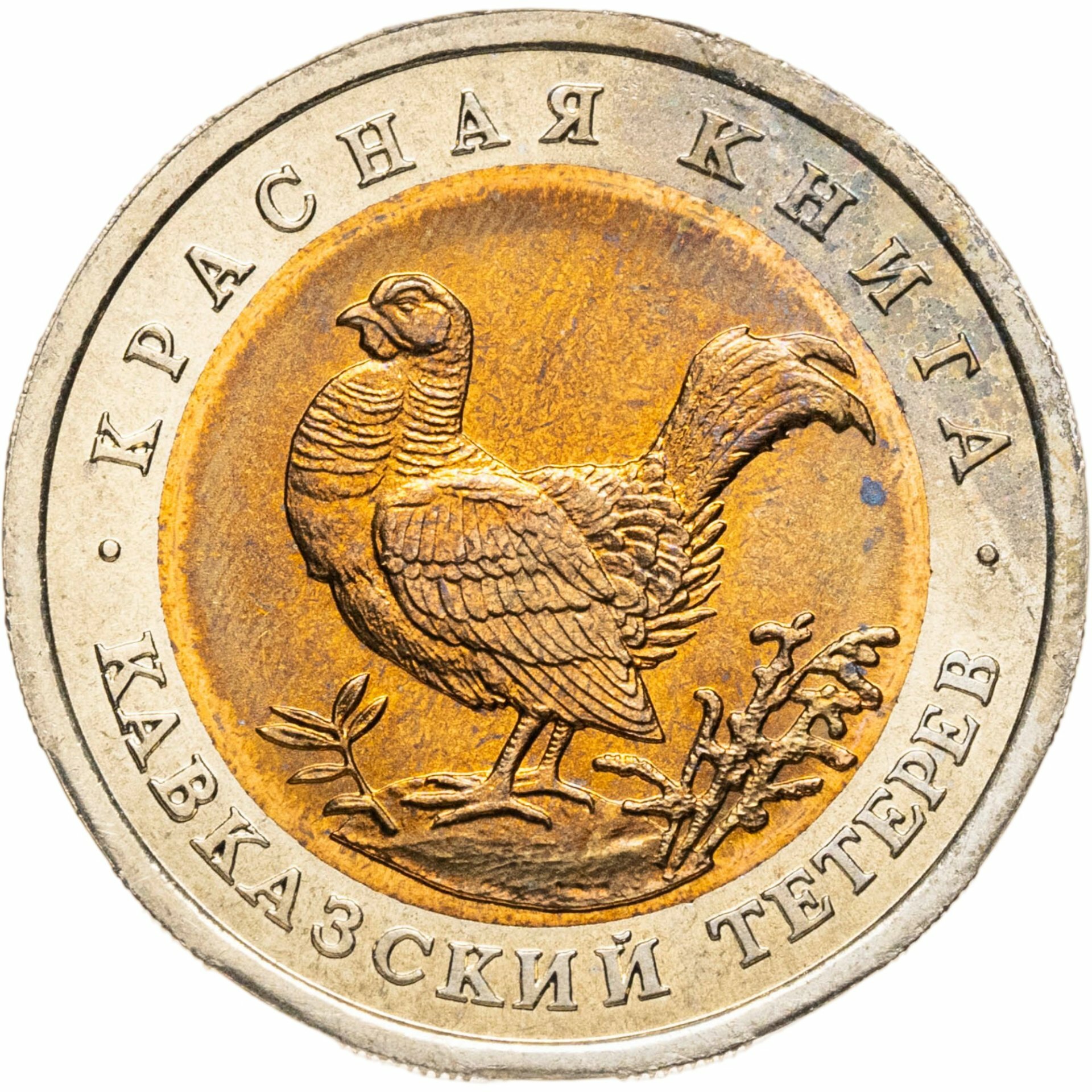 50 рублей 1993 ЛМД кавказский тетерев, Биметалл, в сохранности AU-UNC