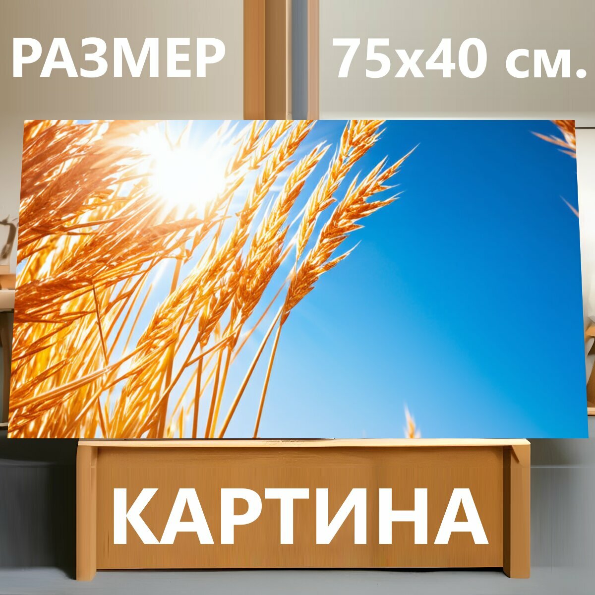 Картина на холсте "Крупный план пышных золотистых трав высоко вверх, через которые ярко светит солнце на фоне чистого голубого неба, эффект." на подрамнике 75х40 см. для интерьера