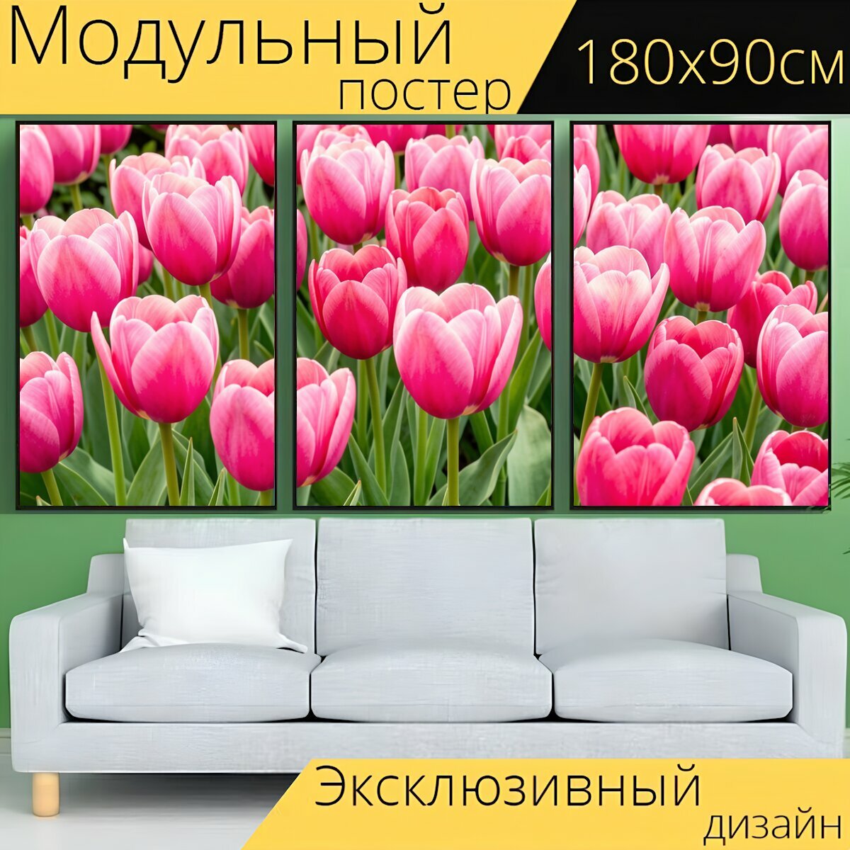 Модульный постер "Розовые тюльпаны в саду. Пышная весенняя клумба с множеством ярко-розовых бутонов, сочной зеленью и мягким." 180 x 90 см. для интерьера на стену в тубусе
