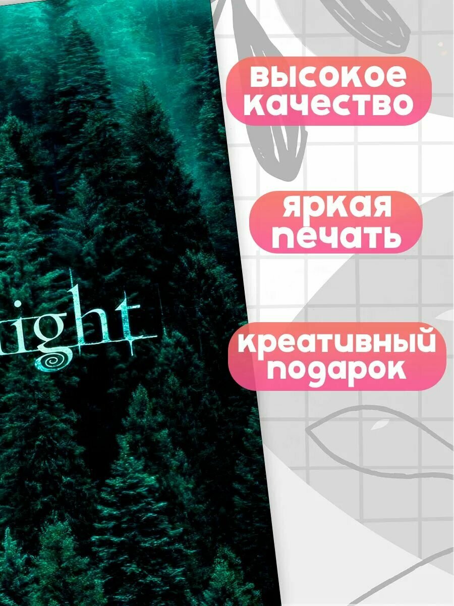 Постер на стену Сумерки, плакат 1шт, А4 размер. — фото 1