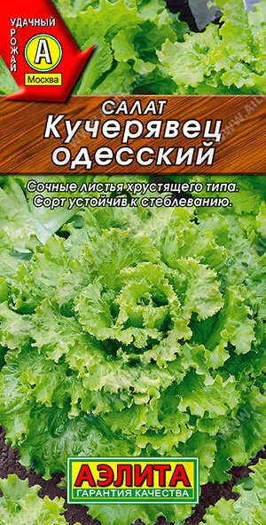 Семена салата аэлита Кучерявец Одесский, полукочанные, однолетние