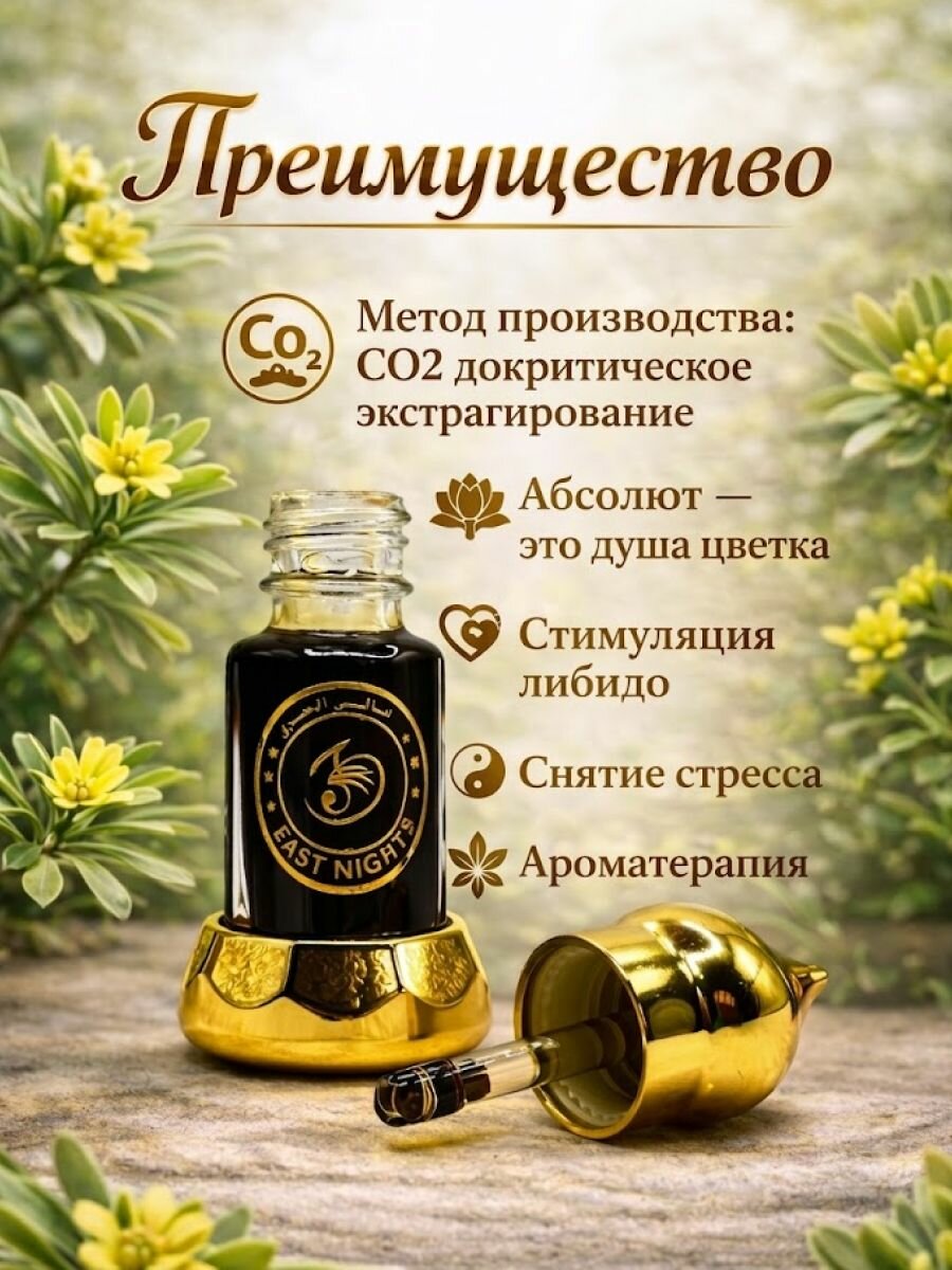 Суриана абсолют — фото 1