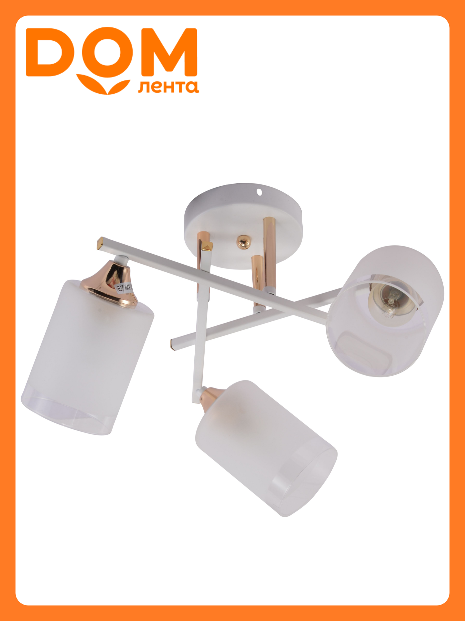 Люстра потолочная Rivoli Tammy белый