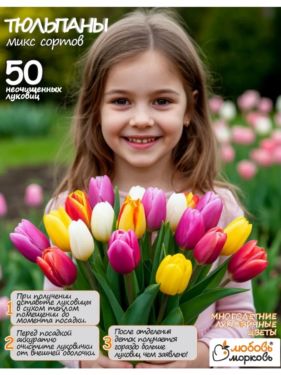 Тюльпан Луковица, Микс сортов, 50 шт