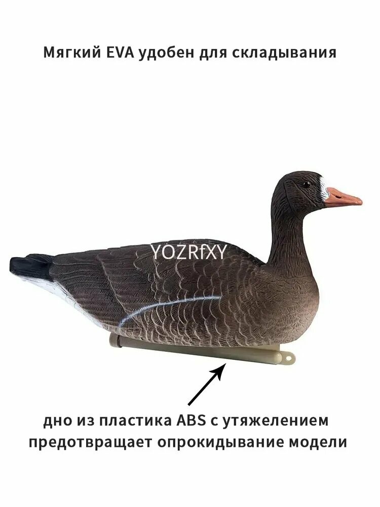 Чучело — фото 1