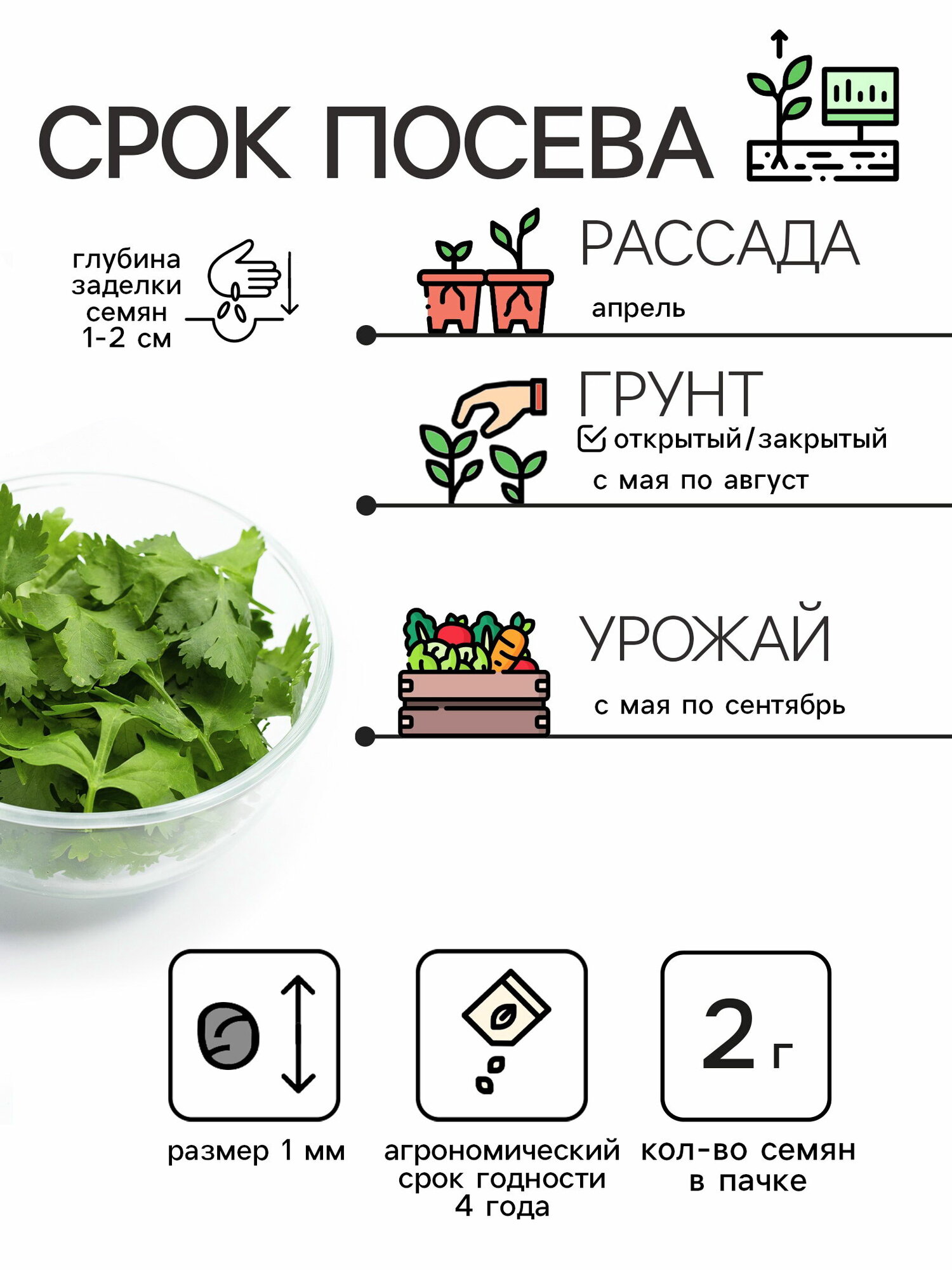 Семена Кориандр - кинза "Кин-Дза-Дза", 2 г, посев (посадка) в грунт: август