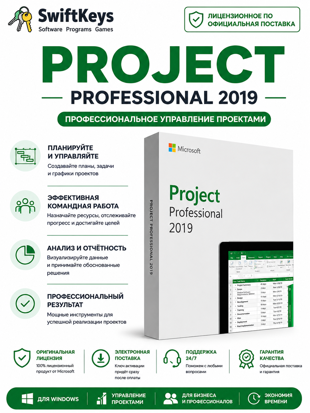 Microsoft Project Professional 2019, программа для управления проектами, электронный ключ