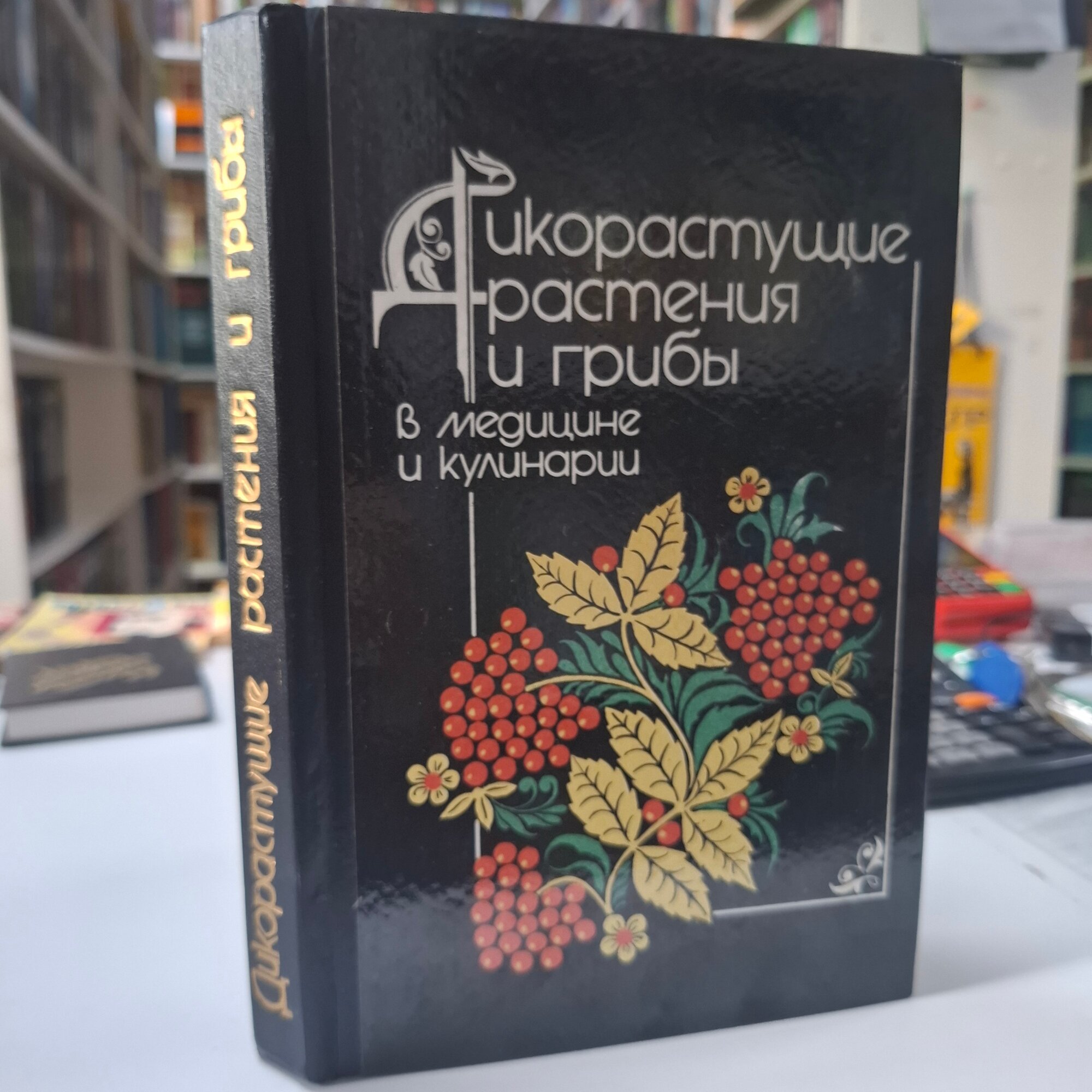 Дикорастущие растения и грибы в медицине и кулинарии.