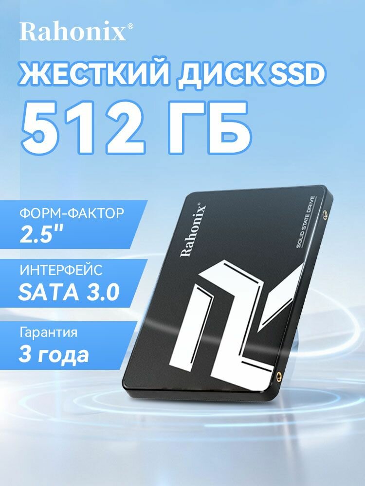 Rahonix 512 ГБ Внутренний SSD-диск RS, 2.5", SATA III 6 Гбит/с (RS-512)
