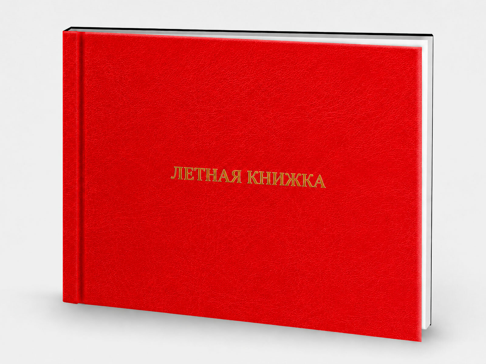 Летная книжка летчика, красный бумвинил