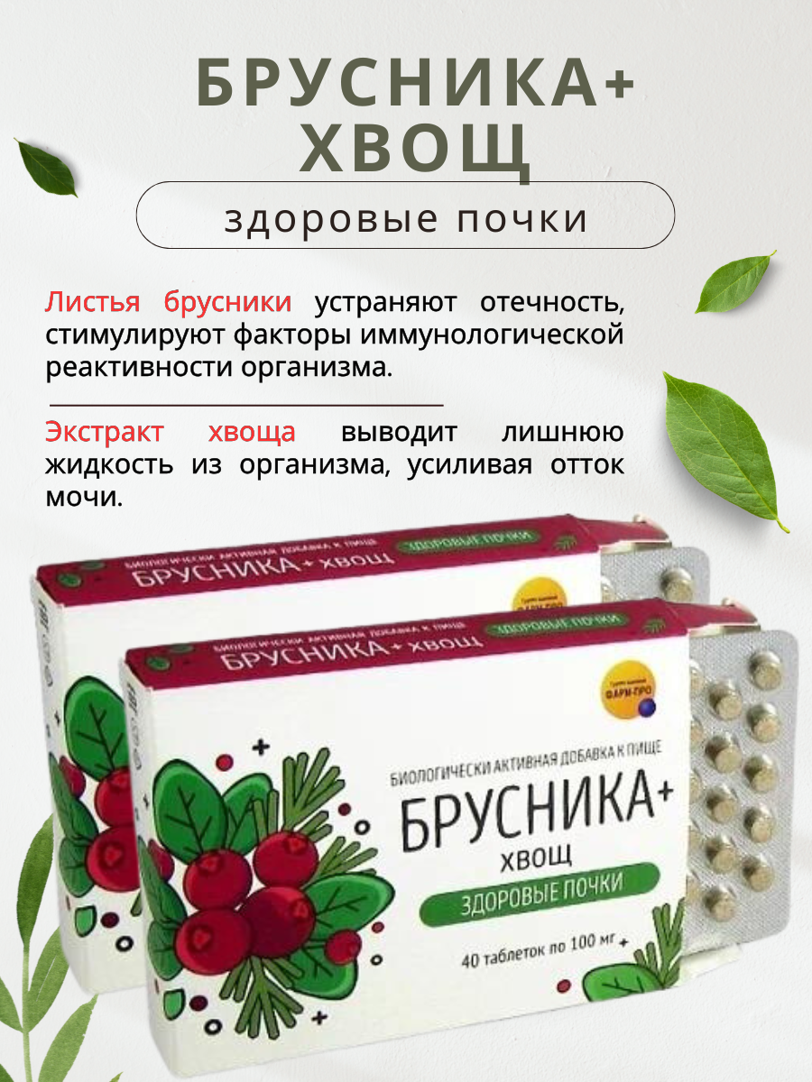 Брусника+хвощ здоровые почки 2 упаковки по 40 таблеток