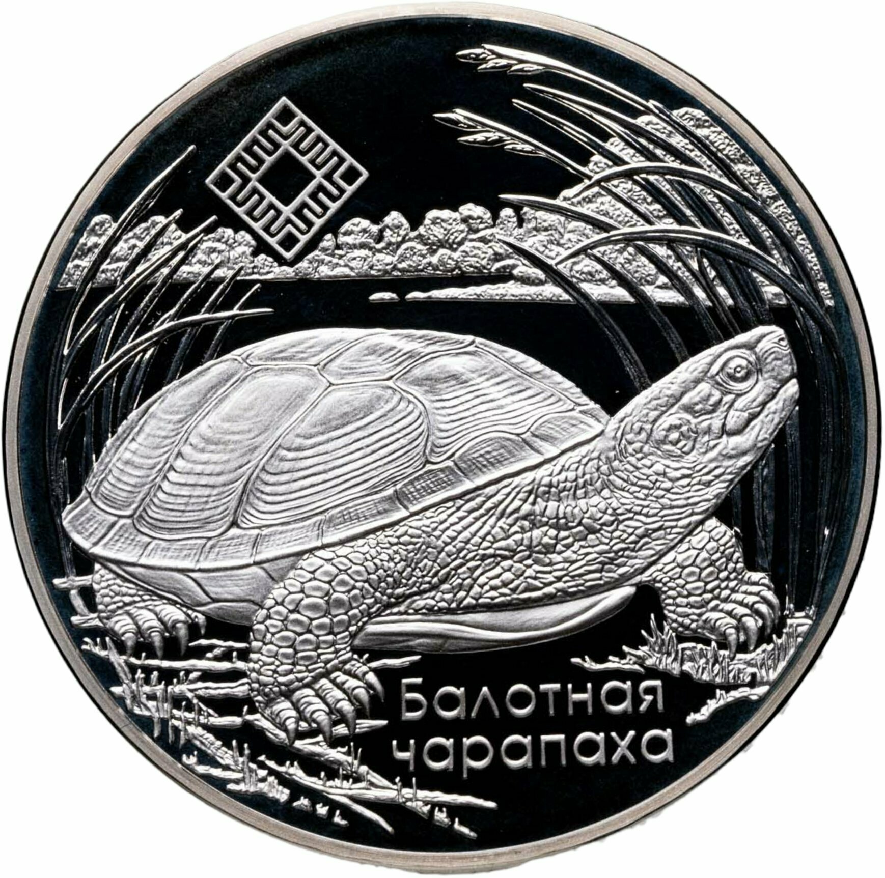 Беларусь 20 рублей 2010 Заказники Беларуси - Средняя Припять "Болотная Черепаха" с сертификатом, Серебро 925, в сохранности Proof