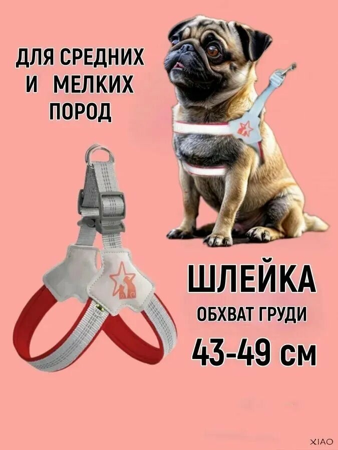 Анатомическая шлейка для собак средних пород, обхват груди 43 49 см, цвет серый. Для мопса.
