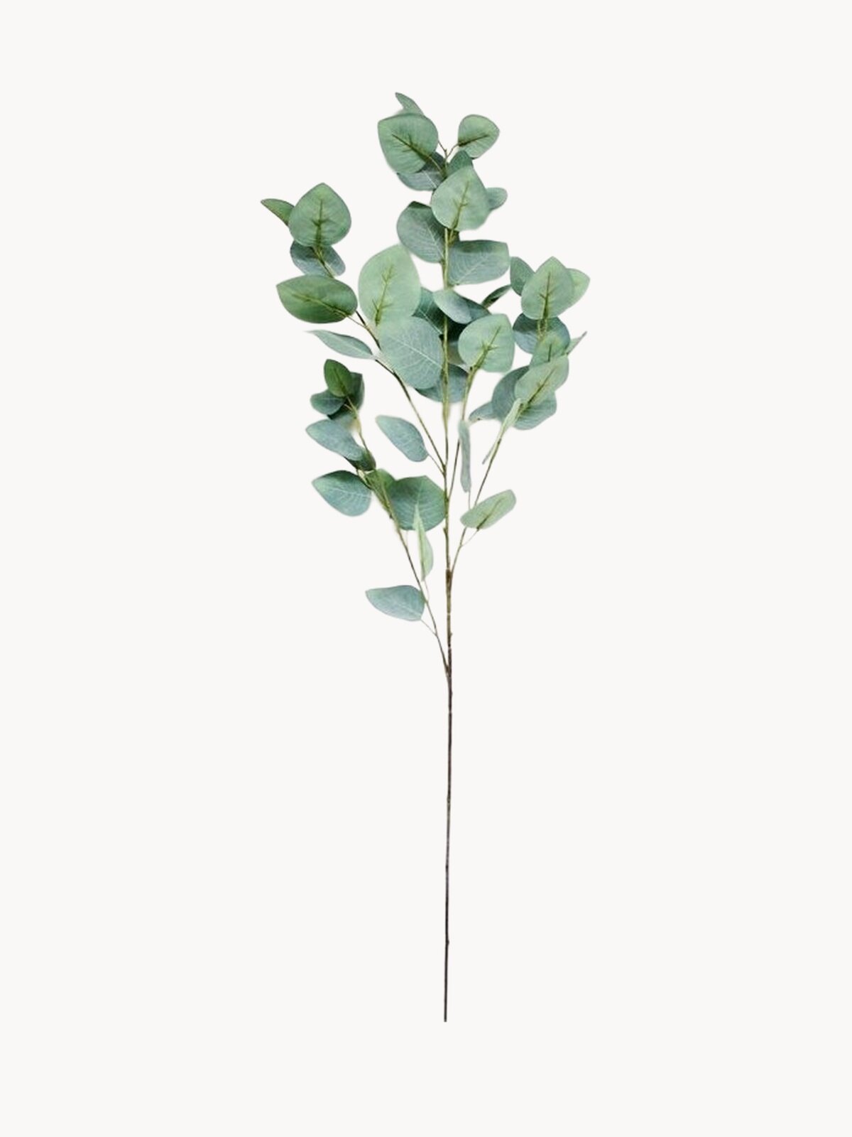 Ветка эвкалипта искусственная, 100 см, бренд CONEKO - декор для дома и офиса