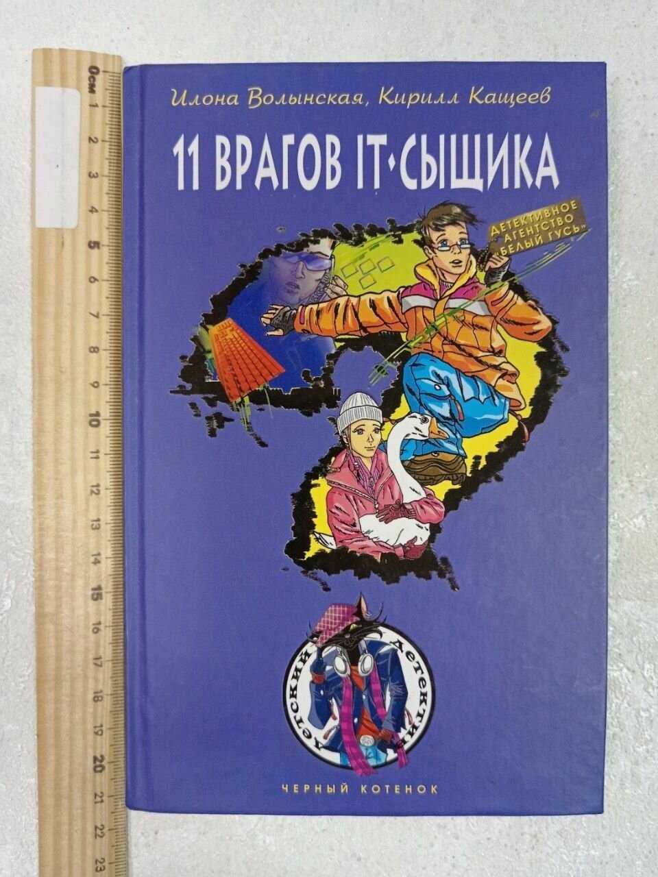 Одиннадцать врагов IT-сыщика Волынская Илона