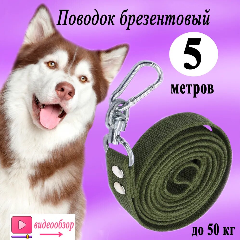 Поводок для собак брезентовый 5м, хаки, с вертлюгом, для средних и крупных пород, ширина 25мм