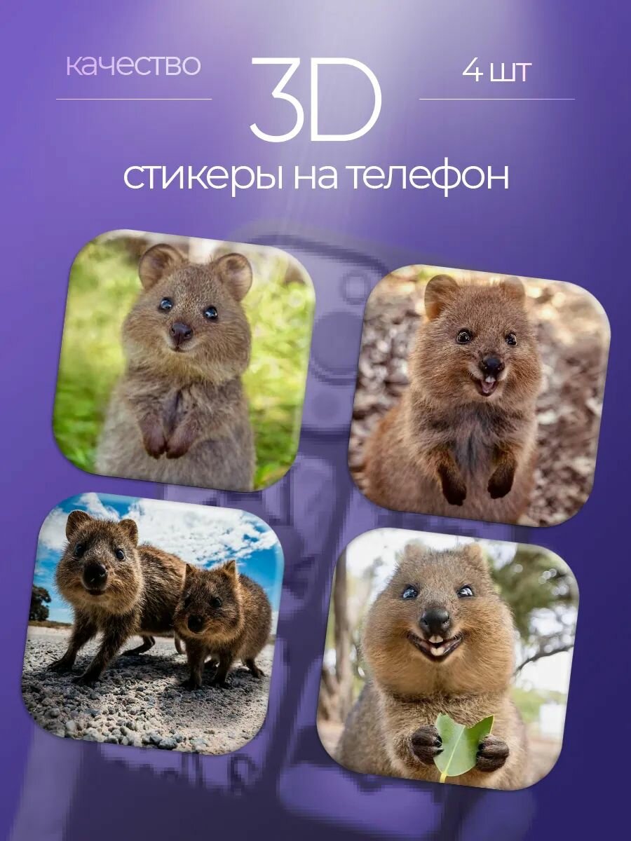 3D стикеры на телефон Квокка