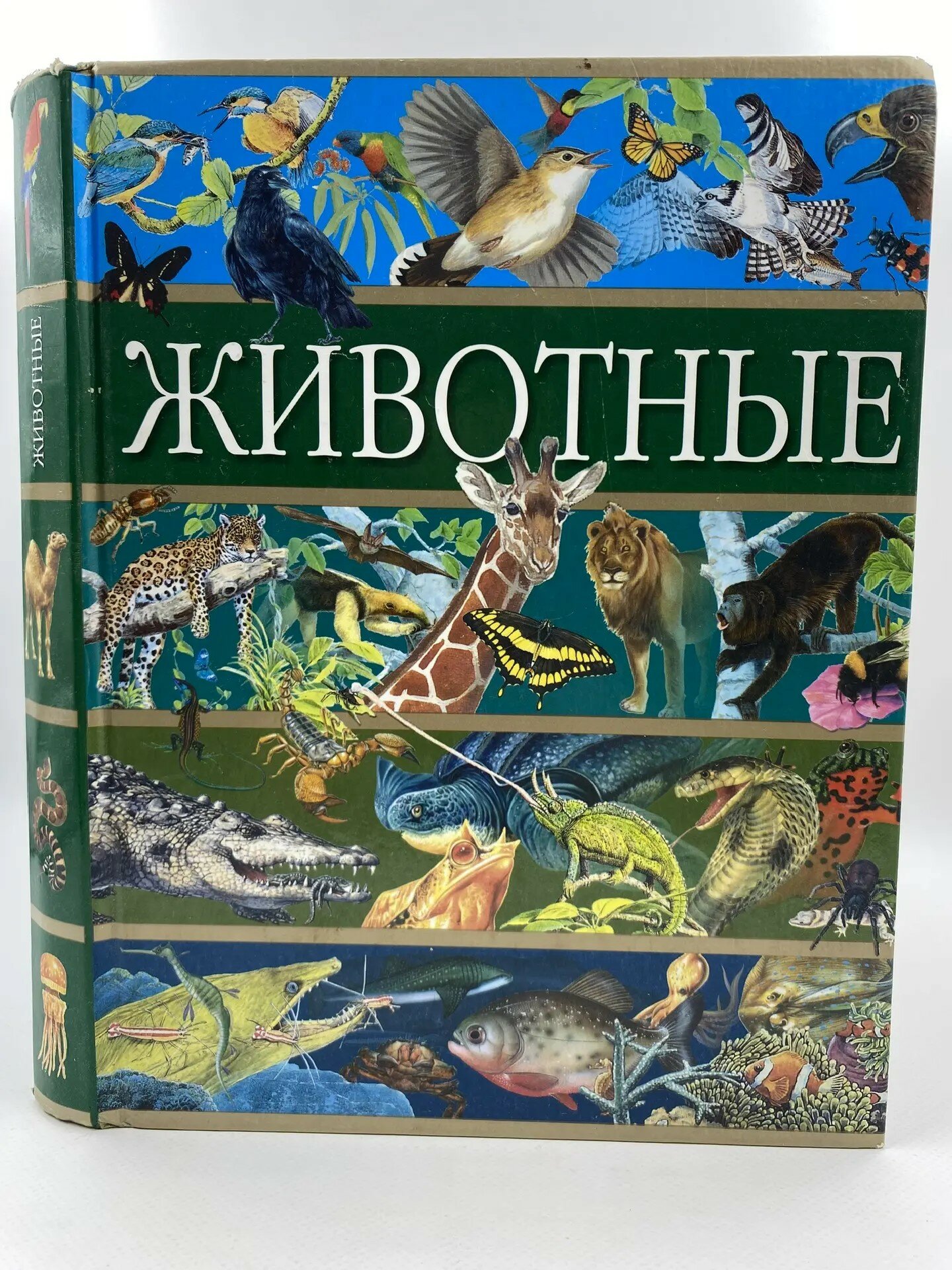 Животные. Энциклопедия знаний.