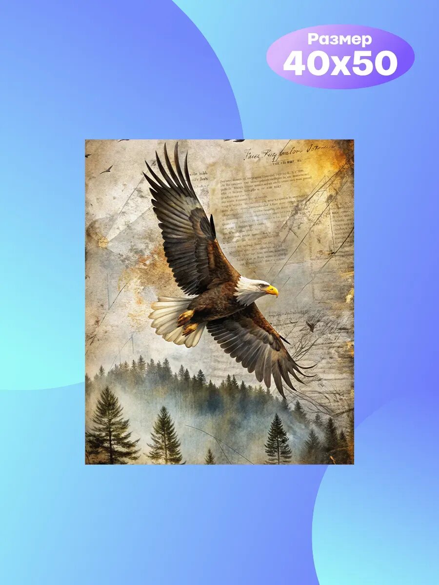 Картина Дикие Животные Орел Ястреб 40x50 см