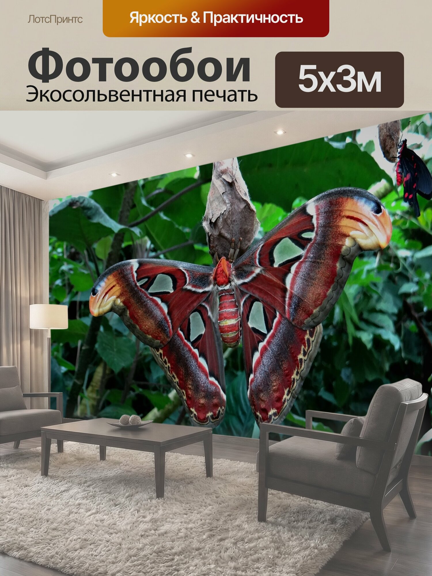 Фотообои "Атлас бабочек, павлиноглазка атлас, желтый коричневый" 500x300 см. экосольвентная печать