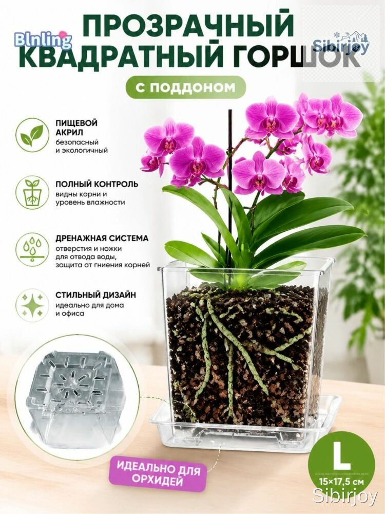 Вазон прозрачный квадратный Sibirjoy с поддоном, 3.2 л, 15×17.5 см, для орхидей, идеально для дома и офиса