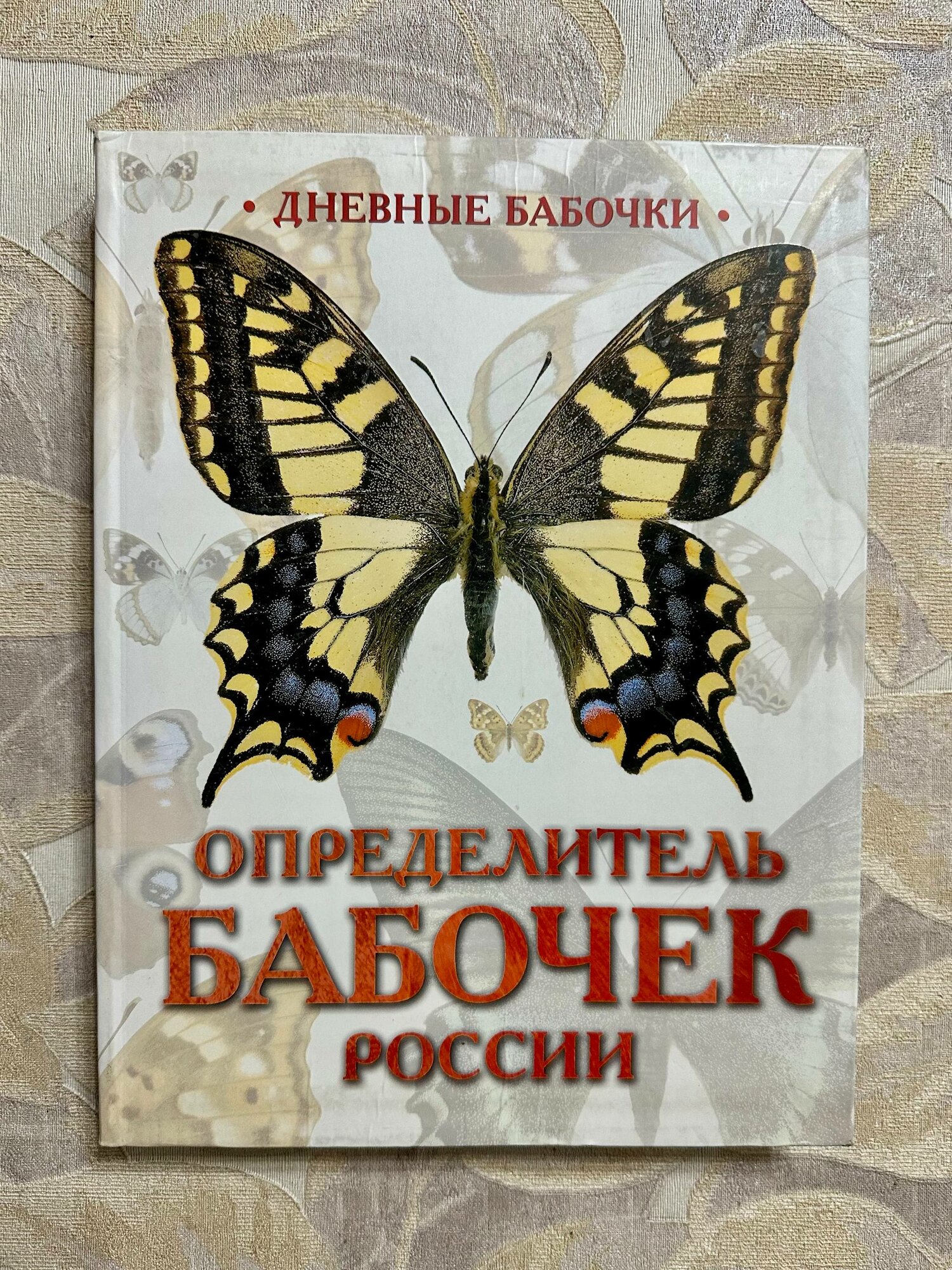 Дневные бабочки. Определитель бабочек России