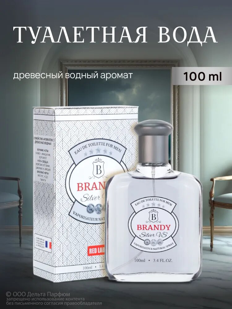 Туалетная вода мужская Brandy Silver VS 100 мл.