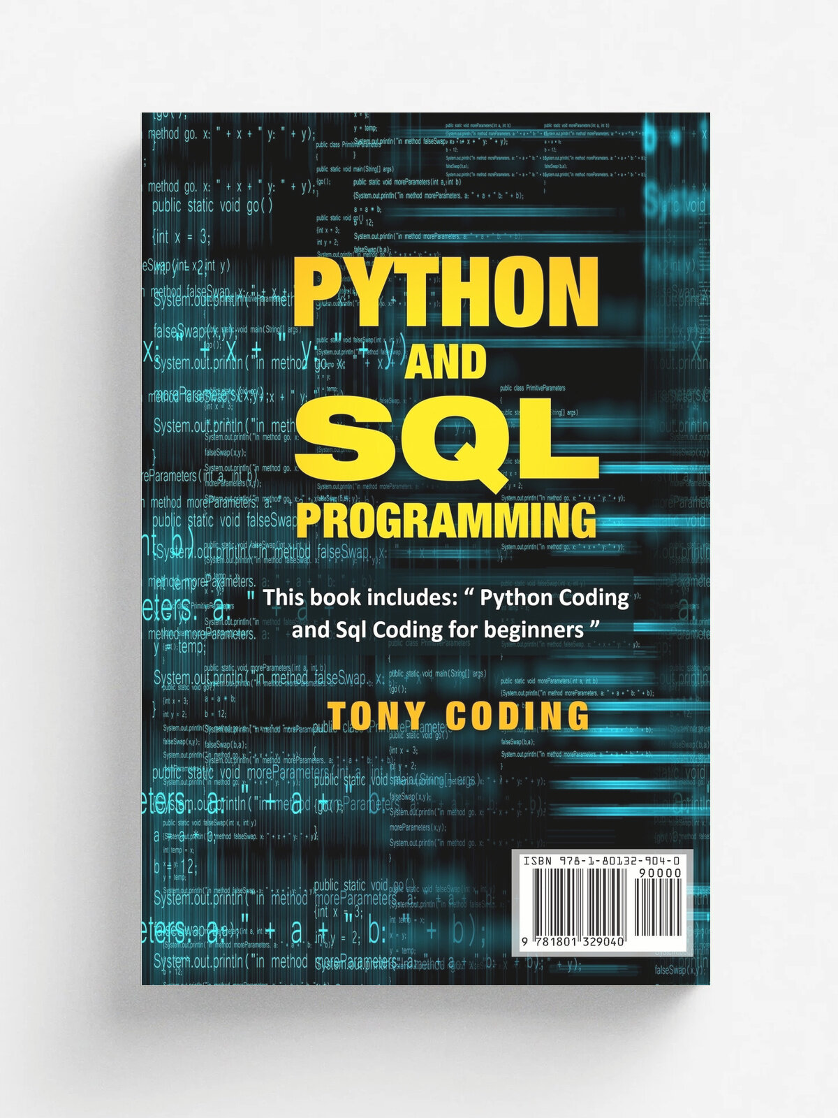 Python and Sql programming