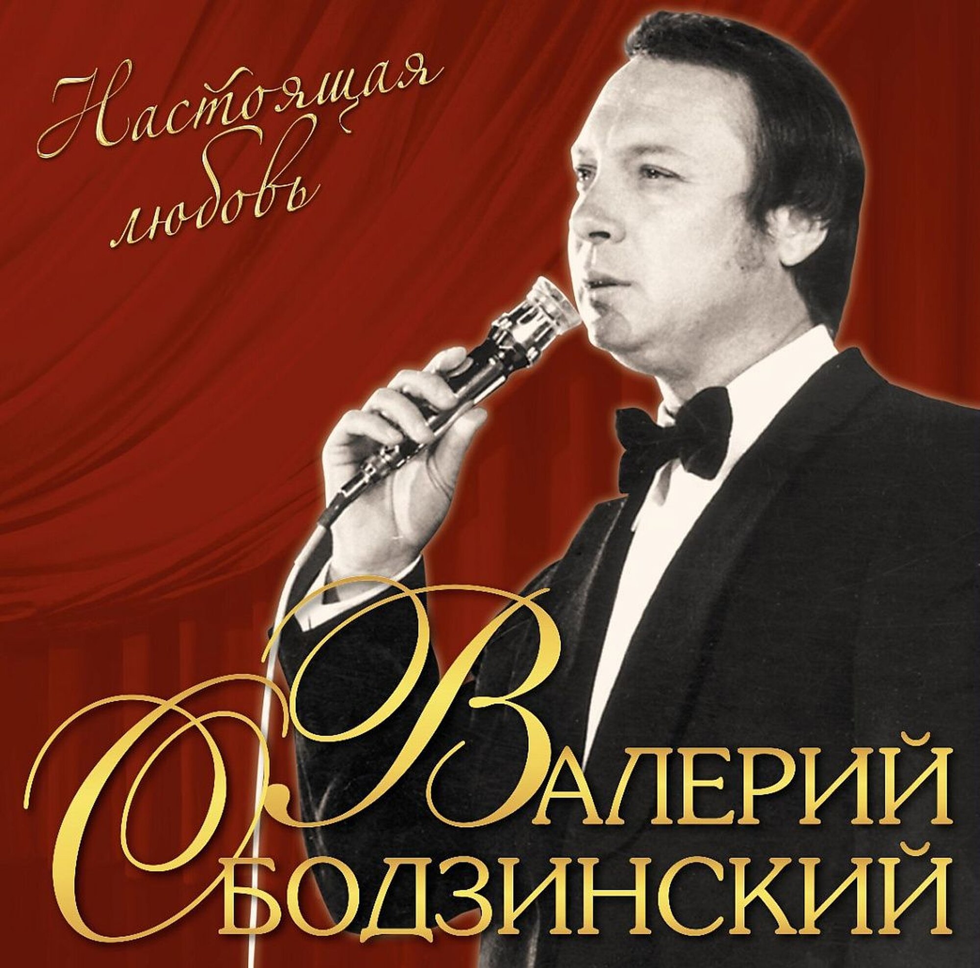 Ободзинский валерий - Настоящая Любовь, (Black Vinyl, LP) Виниловая пластинка
