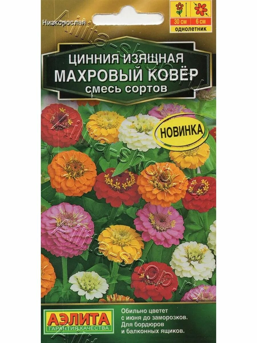 Семена "Цинния Махровый ковер, смесь сортов"