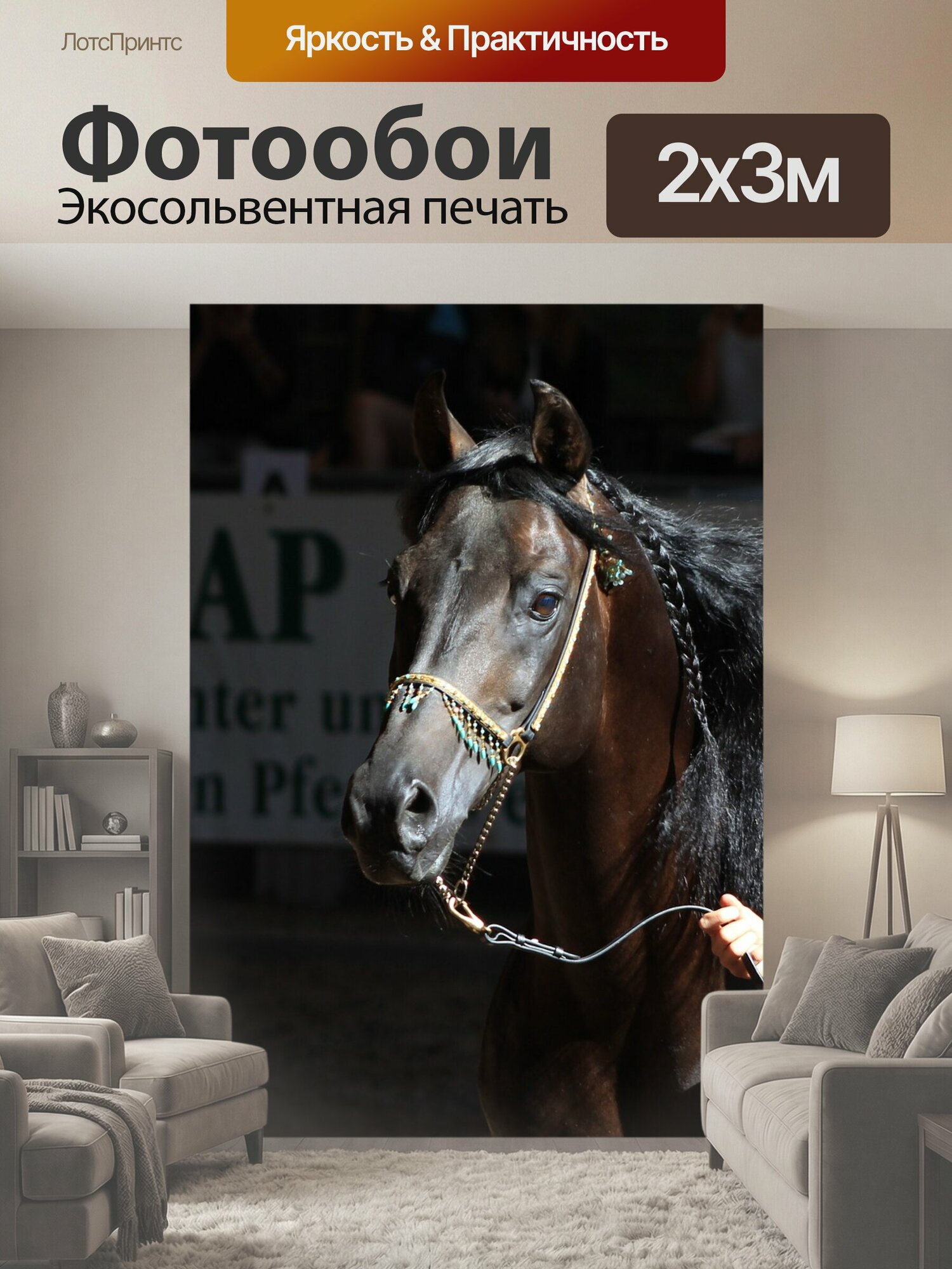 Фотообои "Лошадь, арабская лошадь, араб" 200x300 см. экосольвентная печать