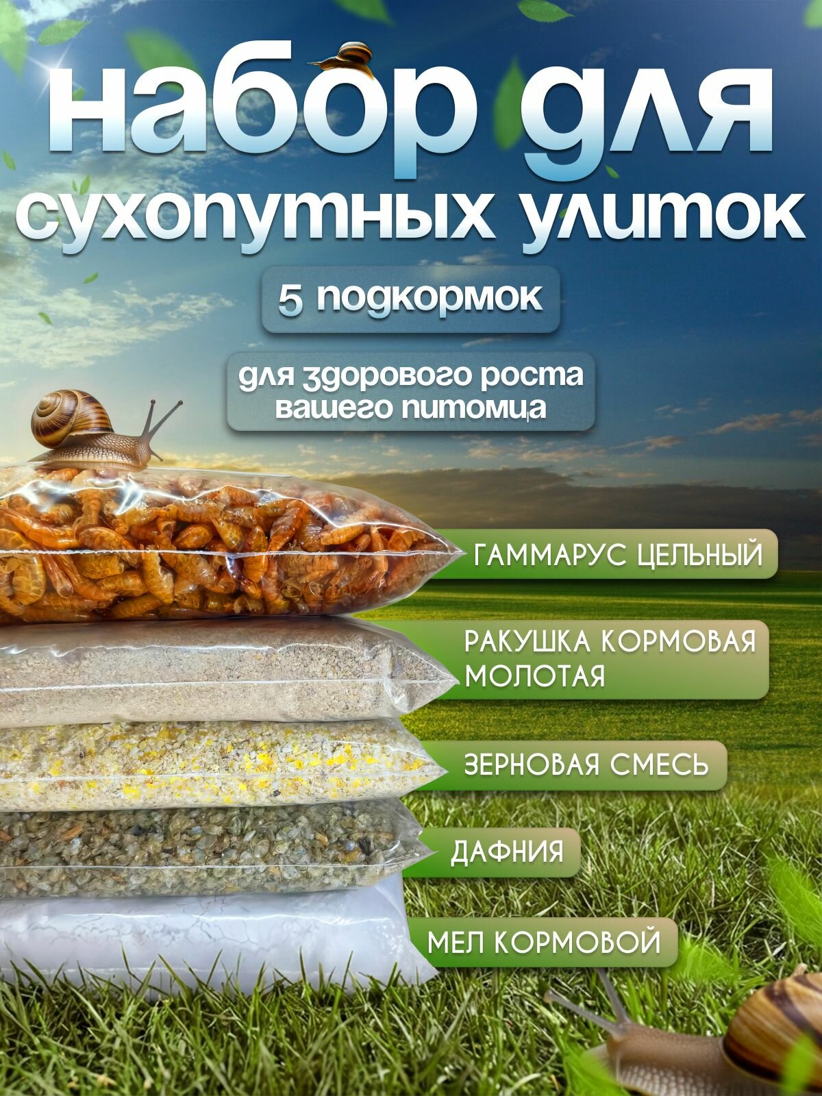 Корм для улиток, Ахатин улитки ахатины
