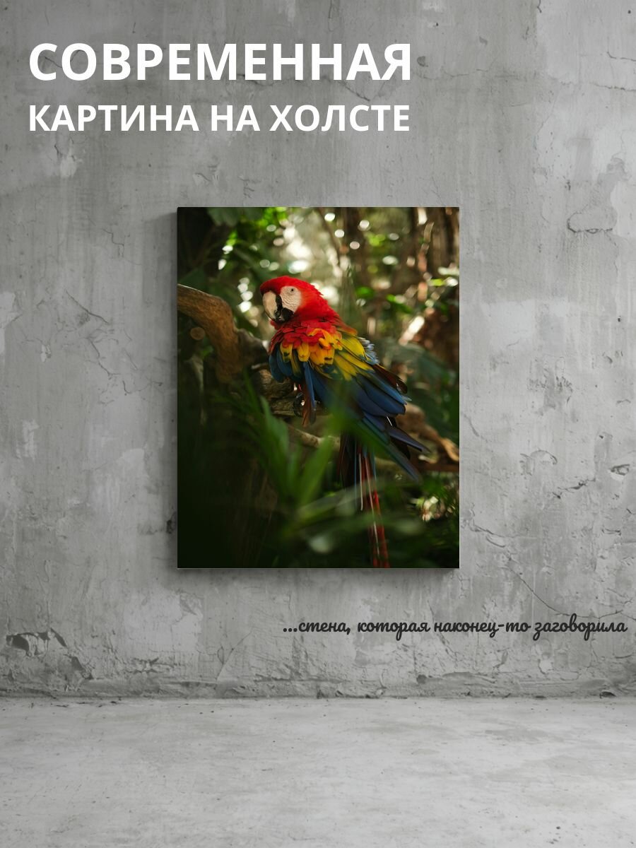 Картина на холсте Попугай на ветке 50x70 см