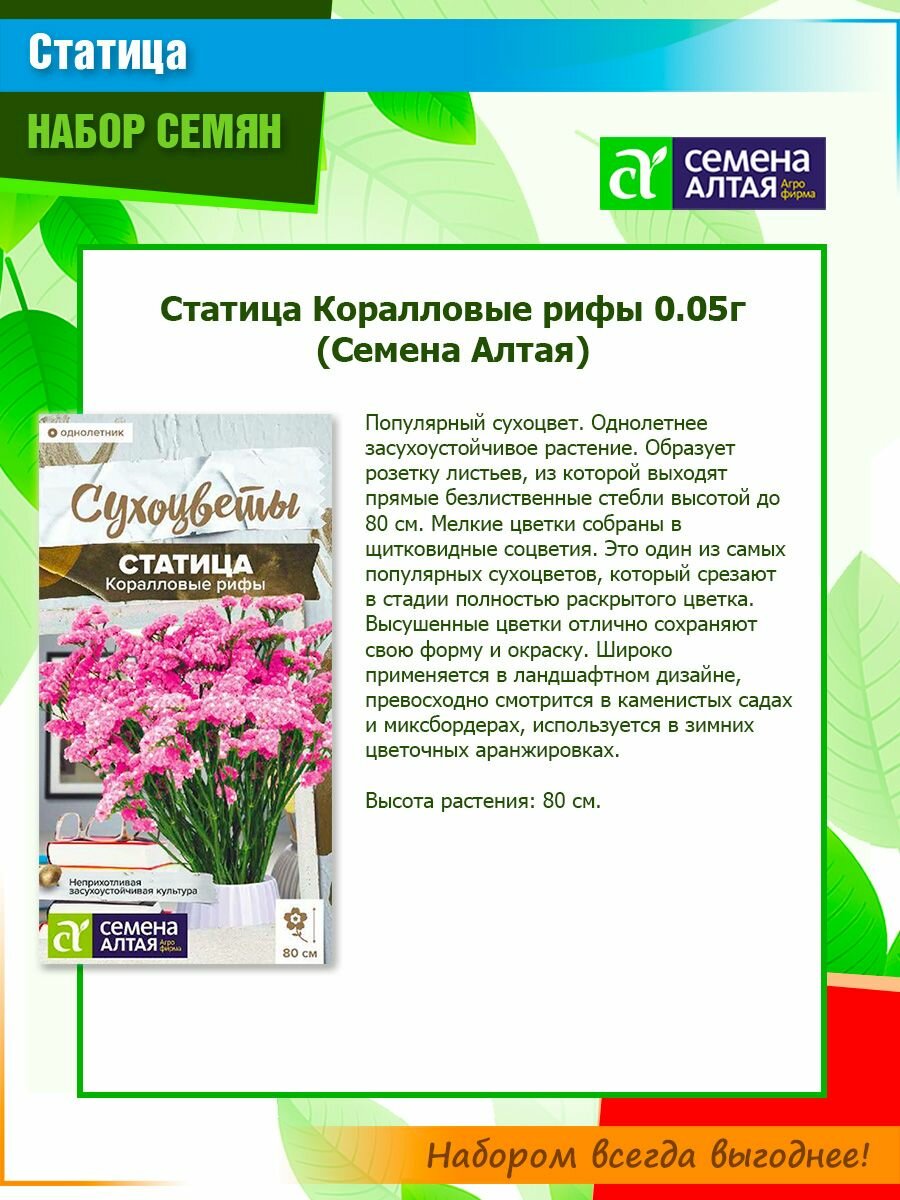 Набор семян цветов-сухоцветов Статицы от компании Семена Алтая (3 пачки) — фото 1