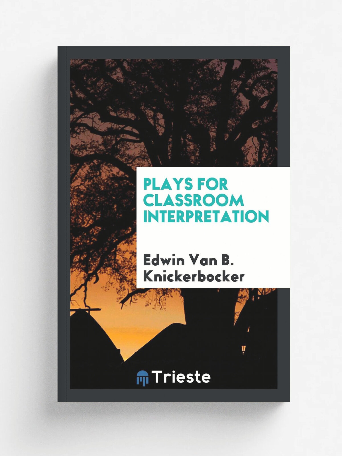 Plays for classroom interpretation